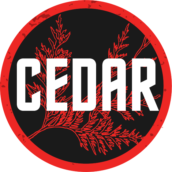 Buy Cedar Grilling Planks at Huge Discounts! – Wildwood Grilling Outlet